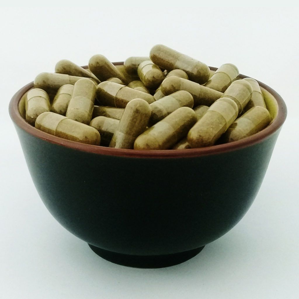 Moringa Oleifera Thee Erna S Garden